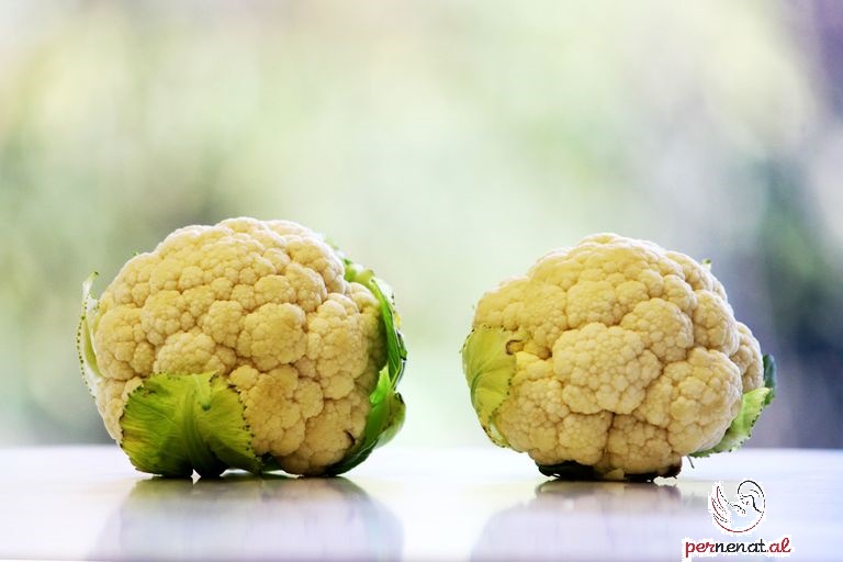 Ushqyerja ne shtatezani, rendesia e lulelakres - pernenat.al