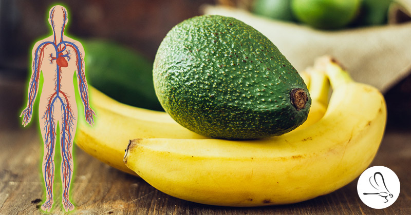 pernenat – Me shume kalium per nje shendet me te mire te zemres dhe ...