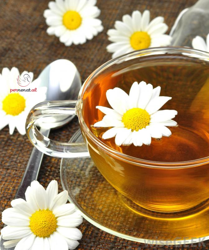 Kur duhet t'i japim kamomil nje te porsalinduri? - pernenat.al