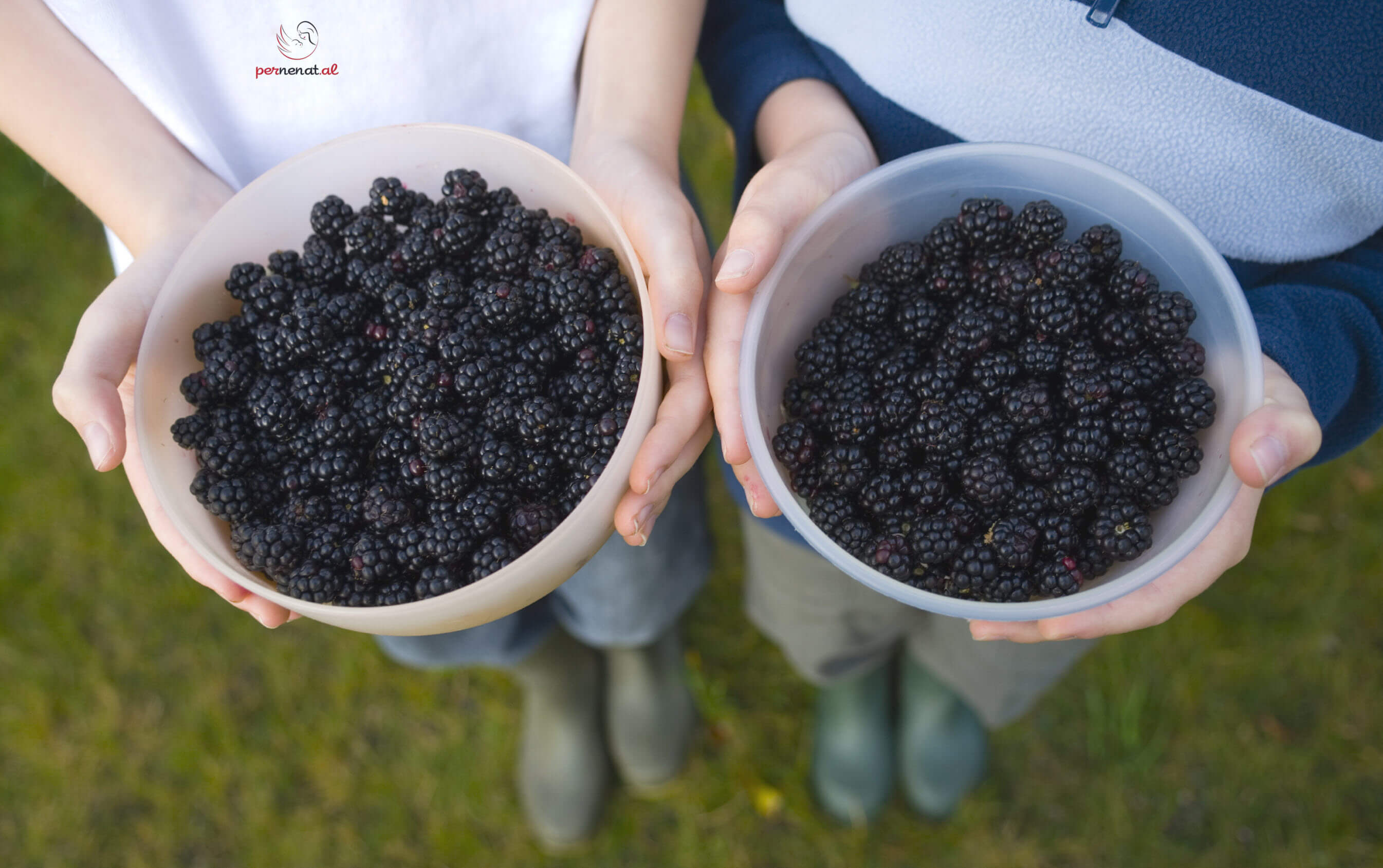 Manaferra për fëmijët - pernenat.al