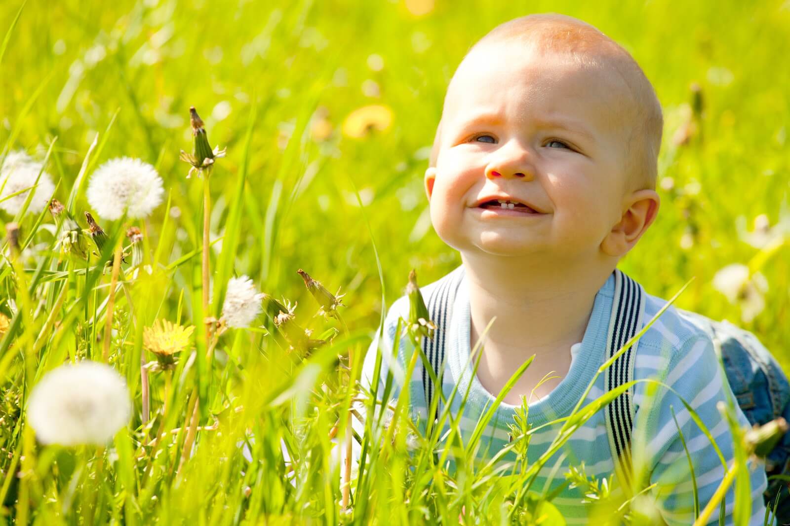 Vitamina D bëhet e dëmshme nëse ka mungesë magnezi - pernenat.al